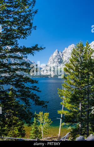 Scenery near Tracy lake, Grand tetons Nat'l Park Stock Photo - Alamy