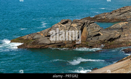 Interesting rock looks like animal face. Stones that look like animals ...