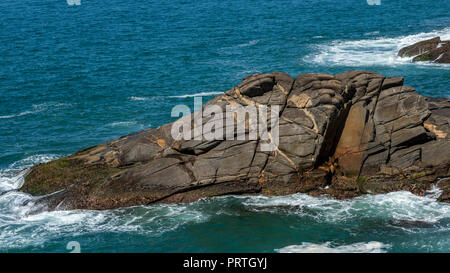 Interesting rock looks like animal face. Stones that look like animals ...