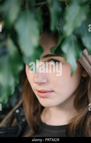 Young woman behind foliage, portrait Stock Photo - Alamy