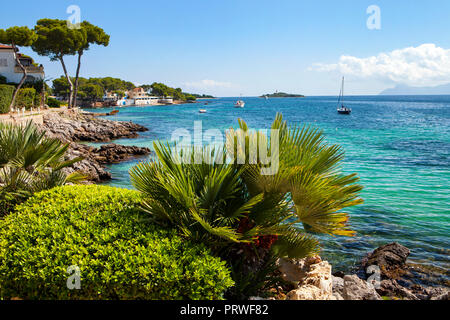 Aucanada beach near Alcudia, Majorca, Spain Stock Photo - Alamy