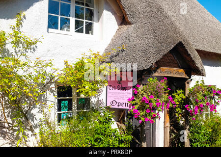 A traditional English tea room in the old Town of Shanklin, a seaside ...