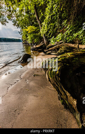 Connecticut River Shoreline Hadlyme, Connecticut, USA Stock Photo - Alamy