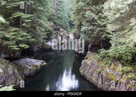 The Capilano River Cable Pool is the last stretch of water which allows ...