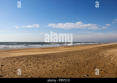 Beautiful landscape of Huelva beach, inside a natural area in Andalusia ...