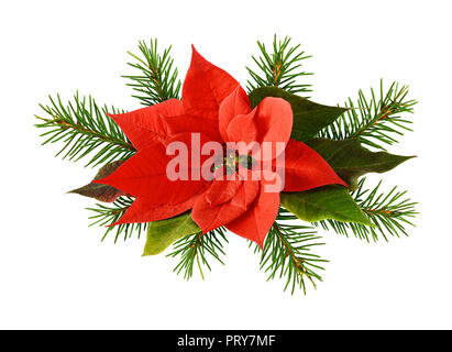 Red poinsettia flower and twigs of Christmas tree with satin ribbons ...