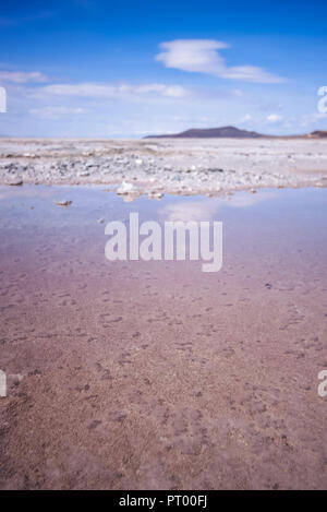 wild nature landscape with salt lake, green and red grass and cloudy ...