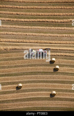 Aerial view, Obercastrop harvest Mittelfeld Langeloh, Silage rolls with ...