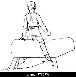 Gymnastics, exercises: horse jumping. Behind jumps. Huge jump forward ...