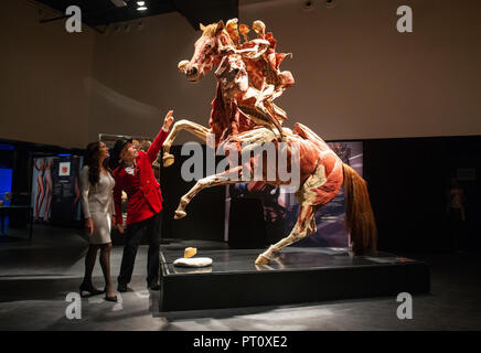 Dr Gunther Von Hagens with his wife and co-Director, Angelina Whalley ...