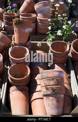 A Collection of Vintage Terracotta Flower Pots Stock Photo - Alamy