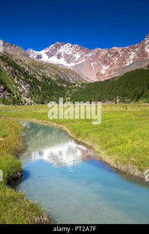 Mount Disgrazia is mirrored in a river. Predarossa valley, Valmasino ...