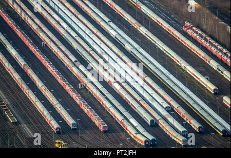 Waggons, locomotives, electric locomotive class 294, depot Hamm freight ...