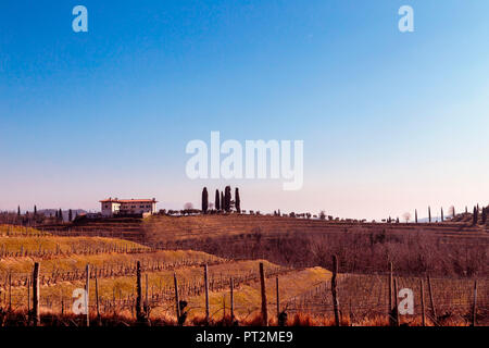 Hills and vineyards of the Collio Friulano. Italy Stock Photo - Alamy