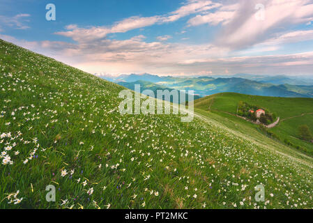 Mount Linzone, Orobie alps, Lombardy district, Bergamo province, Italy ...