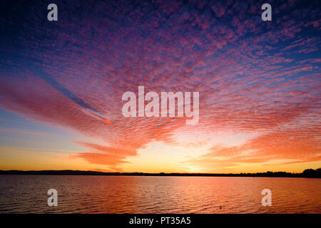 Woody Point at sunset Stock Photo - Alamy