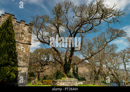 A castle (from Latin: castellum) is a type of fortified structure built ...