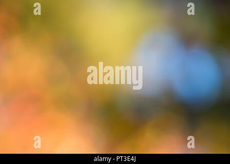 multicolored fall blurred defocused background Stock Photo - Alamy