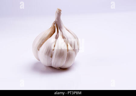 Garlic(Lehsun) (scientific name Allium sativum) is a species in the ...