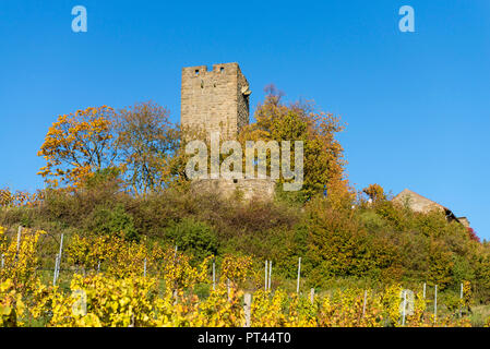 Germany, Baden-Württemberg, Kraichgau, Ravensburg Castle, former ...