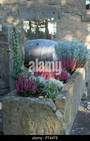Germany, Baden-Württemberg, Kraichgau, Ravensburg Castle, former ...