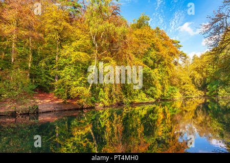 Autumn at Waggoners Wells Stock Photo - Alamy