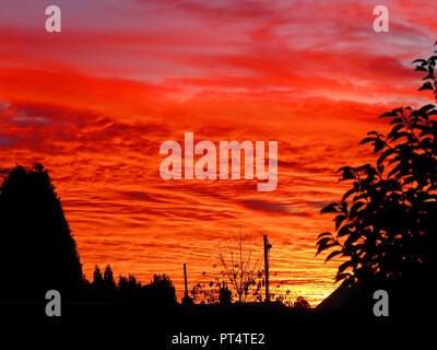 colourful sunrise in Cardiff UK Stock Photo - Alamy