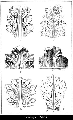 Acanthus leaf: Byzantine acanthus leaf. From Sta. Sofia in ...