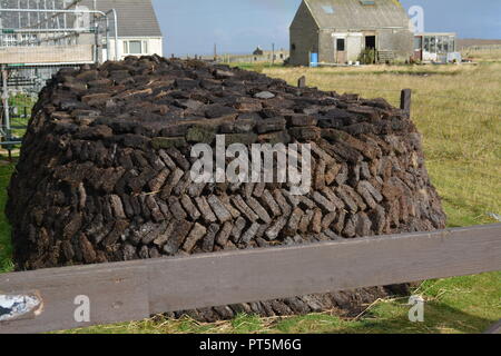Stacks of peat (turf) for heating, drying on cut bog at Bunowen, near ...