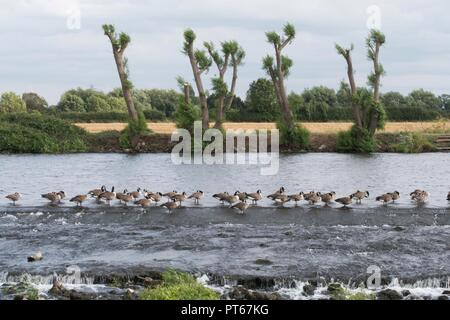 Averham Weir, River Trent Stock Photo - Alamy