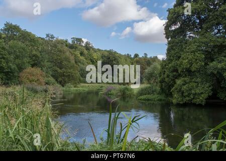 An English chalk stream Stock Photo - Alamy