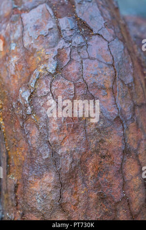 Close-up thick rust encrustation on very heavy duty mooring chain ...