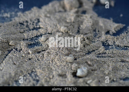 Potassium permanganate is the potassium salt of permanganic acid ...