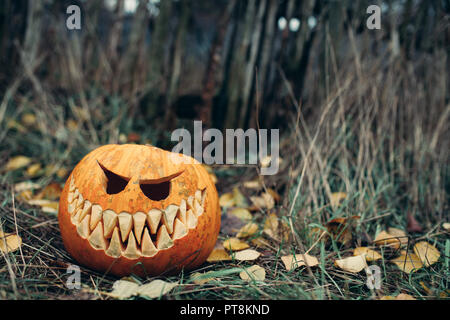 halloween jack-o-lantern with antropomorfic smiling face on autumn ...