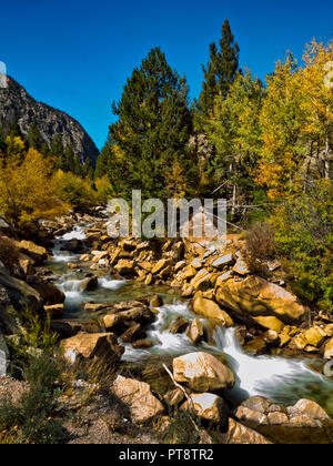 San Isabel National Forest in autumn, Colorado Stock Photo - Alamy