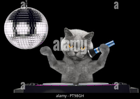 Cute cat singing with microphone a karaoke song in a night club ...