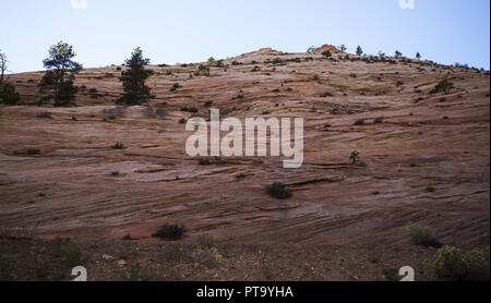 Utah, USA. 5th Oct, 2018. A heard of bison meaner in a valley about ...