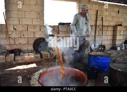 Sweida, Syria. 8th Oct, 2018. A farmer harvests grapes at his orchard ...