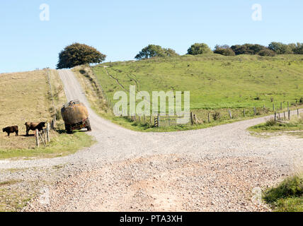 Sidbury Camp or Sidbury Hill Iron Age hill fort, Haxton Down, near ...