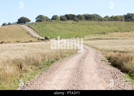 Sidbury Camp or Sidbury Hill Iron Age hill fort, Haxton Down, near ...