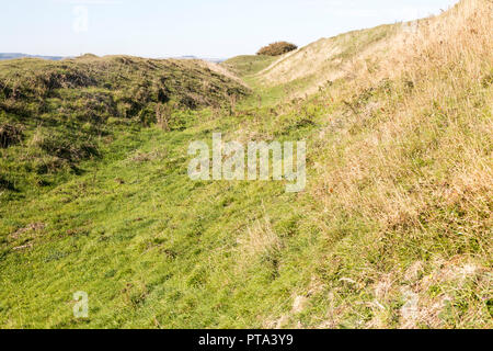 Sidbury Camp or Sidbury Hill Iron Age hill fort, Haxton Down, near ...