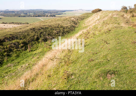 Sidbury Camp or Sidbury Hill Iron Age hill fort, Haxton Down, near ...
