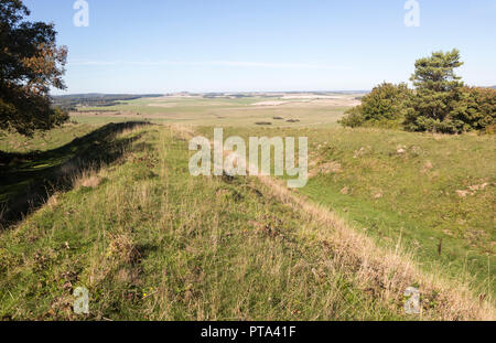 Sidbury Camp or Sidbury Hill Iron Age hill fort, Haxton Down, near ...