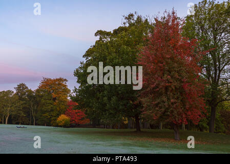 Wonderful Autumnal colours in Lister Park, Bradford, home of the ...