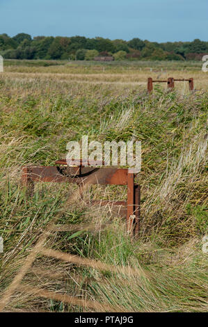 RSPB Minsmere Reserve looking towards West HIde Stock Photo - Alamy