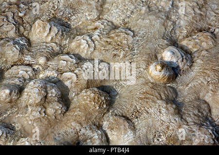 closeup of flowstone texture and patterns Stock Photo - Alamy