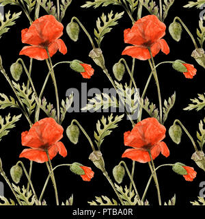 Watercolor botanical illustartion. Red Poppies on a black. Seamless ...