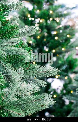 Christmas tree branches close up background Stock Photo - Alamy