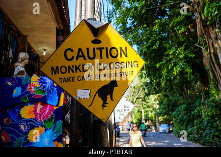Yellow warning sign for crossing monkeys in the Apenheul in the ...