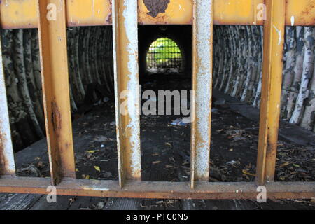 Typical common inner city crumbling infrastructure tunnel that runs ...